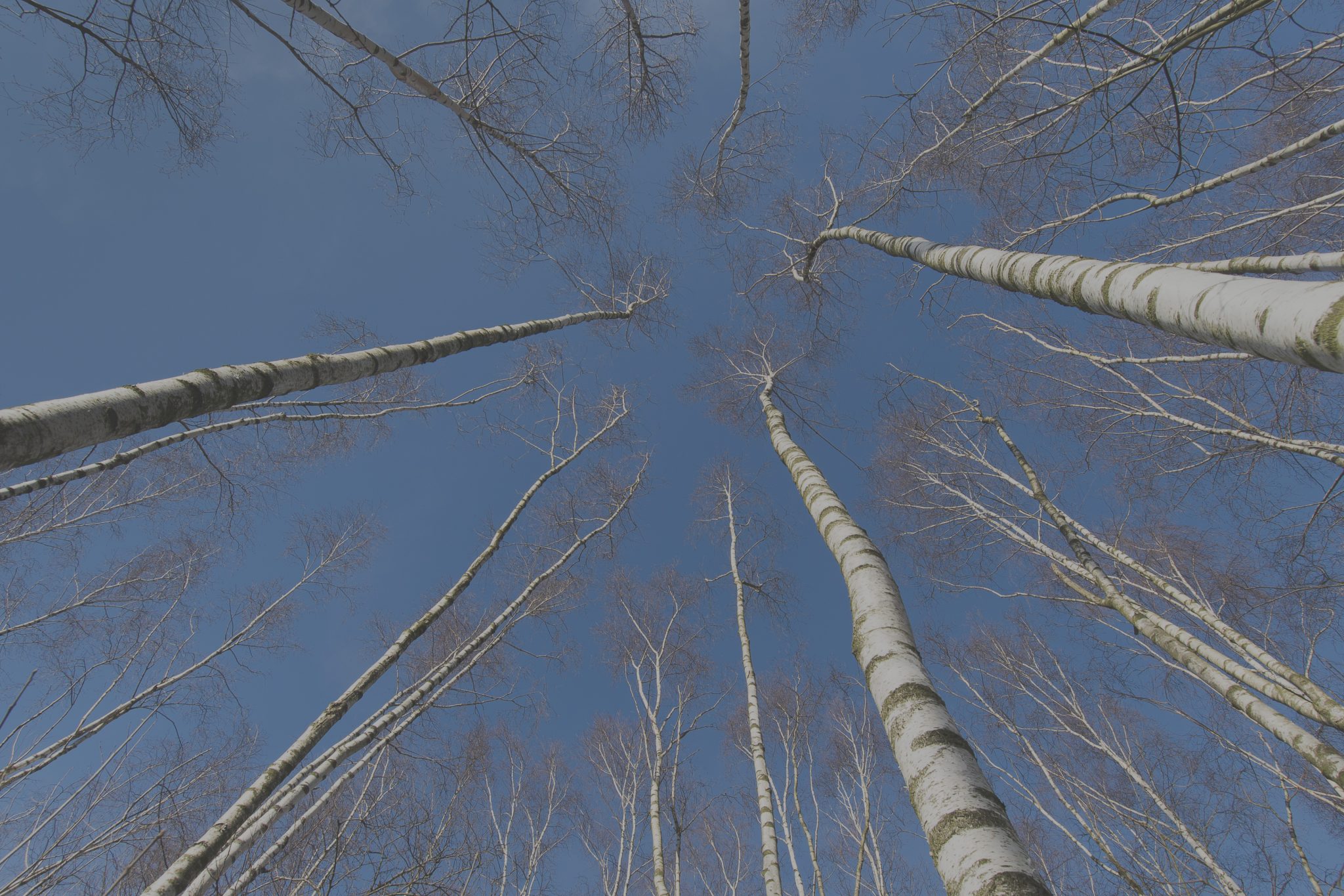 ERFN – English River First Nation